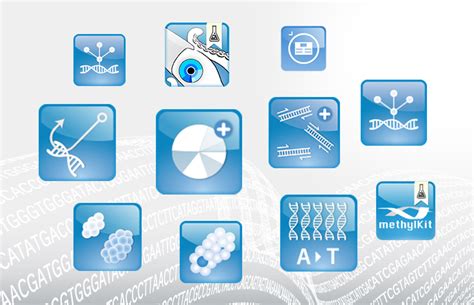 DNA Sequencing Understanding The Genetic Code