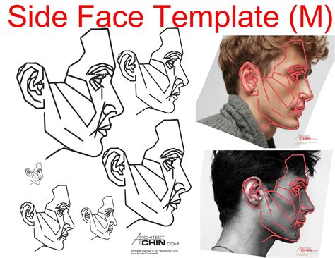 Male Face Template Male Face Ratio Male Face Grid Side Face Template Male Face Sketch