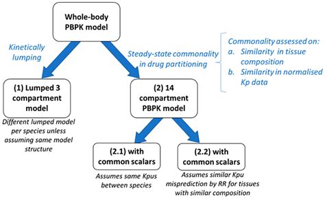 Investigation Of Simplified Physiologicallybased Pharmacokinetic Models In Rat And Human Yau