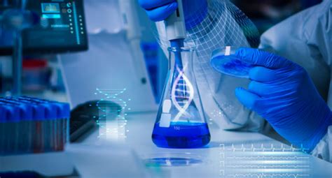 Maternal Serum Screening Test For First And Second Trimester
