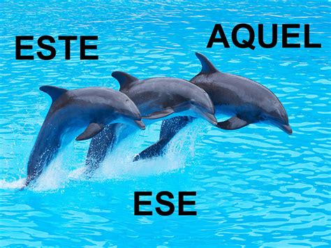 Adjetivos Demostrativos Qué Son Y Ejemplos Con Oraciones