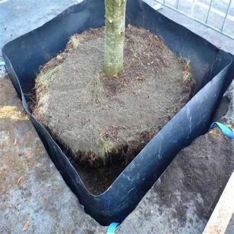 Pp Anti Tree Root Barrier Size 25 X 2 25 M Thickness Upto 1mm At