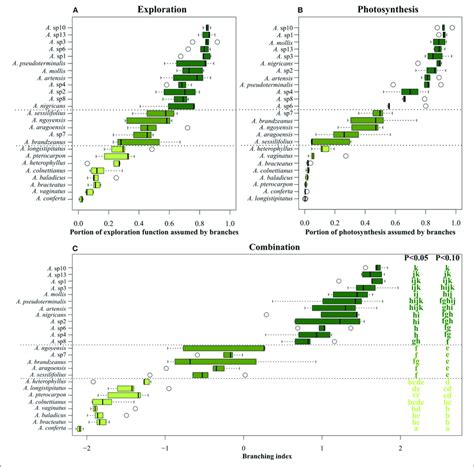 Branching Indexes Calculated On The Base Of A Exploration Function Download Scientific