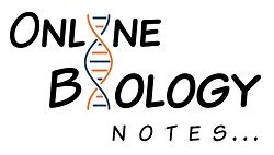 Antibody Structure Classes And Functions Online Biology Notes