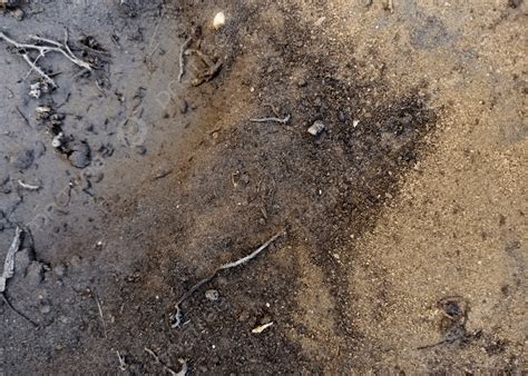 骯髒的地面紋理背景壁紙psd 肮脏的 質地 墙纸背景圖片和桌布免費下載