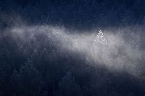 Suzanne Révy On Linkedin Today On What Will You Remember Elin Spring And I Review Xuan Hui Ngs…