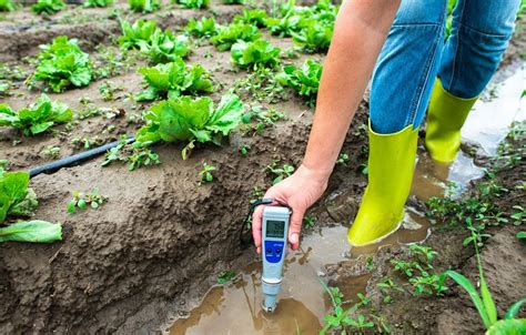Irrigation Efficiency Artigos Wikifarmer