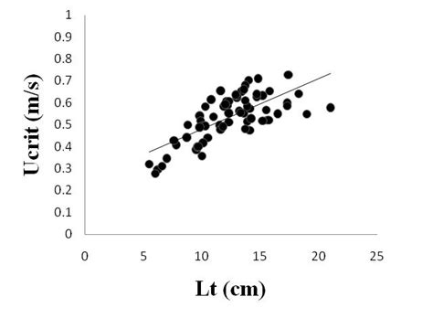 Relationship Between The Total Length Lt And Absolute Critical
