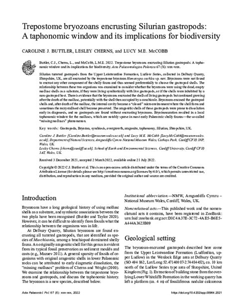 Pdf Trepostome Bryozoans Encrusting Silurian Gastropods A Taphonomic Window And Its