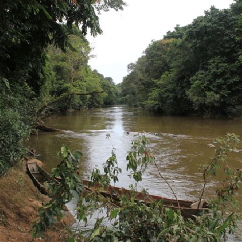 Drivers Of Tropical Freshwater Biodiversity A Dna Metabarcoding Approach Envision