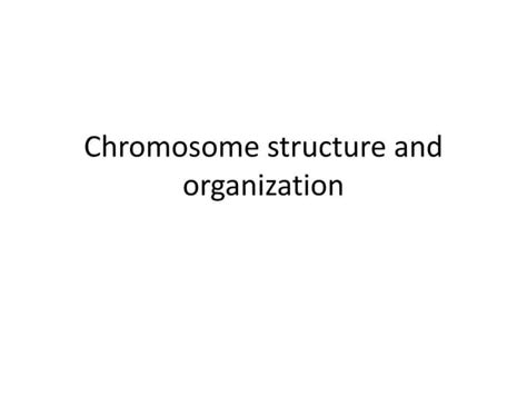 Morphology Of Chromosomes Pptx