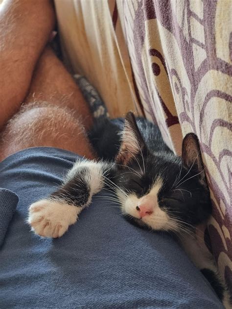 Sleep Raww
