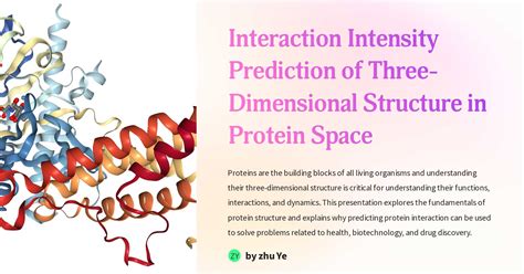 Exploring The Three Dimensional Structure Of Protein