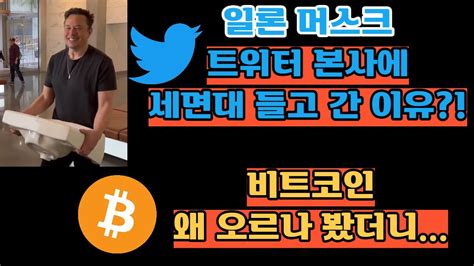 비트코인 왜 오르나ㅣ일론 머스크가 트위터에 세면대 들고 간 이유 Youtube