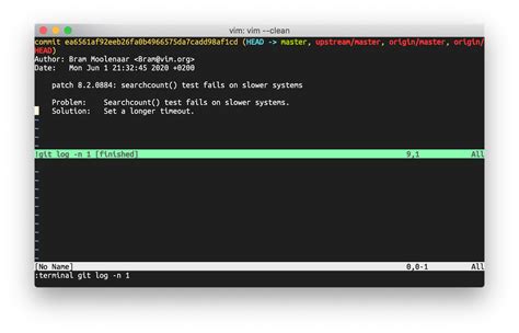 Terminal Isnt Colored When Termguicolors Is On · Issue 6186 · Vimvim · Github