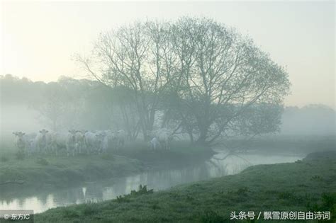 原創自由詩詞霧隱千山水朦朧煙雨迷醉幻春風 每日頭條