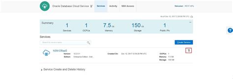 Netsoftmate Technical Blog Oracle Dbcs Stop An Oracle Database