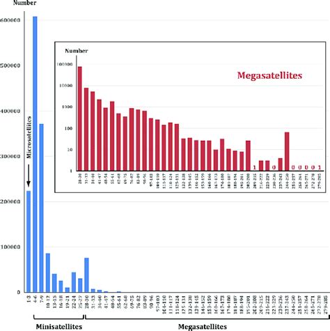 Length Distribution Of Motifs Detected By The T Reks Program A Bimodal