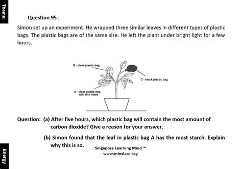 Psle Science Notes Pdf Earkum