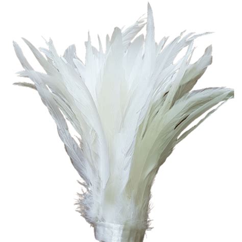 Pluma De Gallo De 25 30 Cm Plumas Quilla
