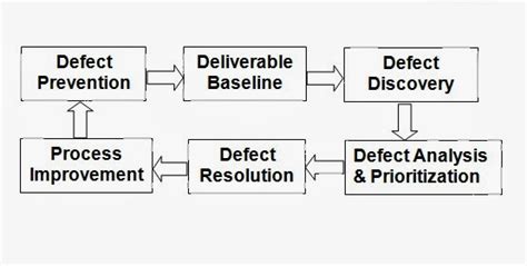 Defect Process Flow Molibj