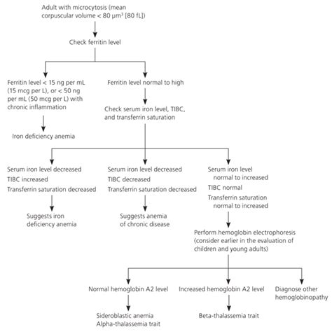 Low Total Iron Binding Capacity And Low Ferritin At Patricia Sanchez Blog