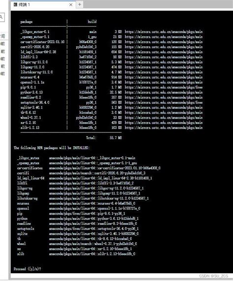 AutoDL使用 CSDN博客
