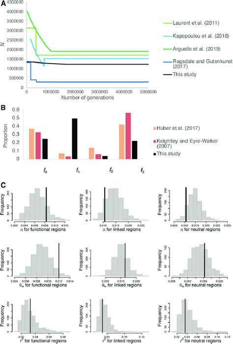 Joint Inference Of Demography And Purifying Selection In The Zambian Download Scientific