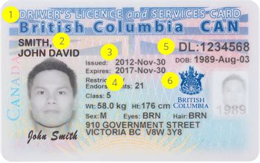 Summertime Blues At Icbc Due To Licensing Backlog Thebreaker