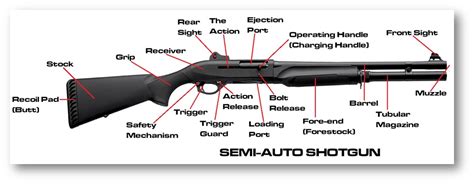 Shotgun Basics Part Two