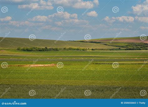 Beautiful Grass Field With Blue Sky In Nature Stock Image Image Of Grass Nature 250655665