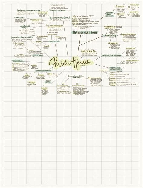 Solution Public Health Concept Maps Studypool