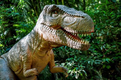 Saiba mais sobre a Terra dos Dinos parque de dinossauros que será