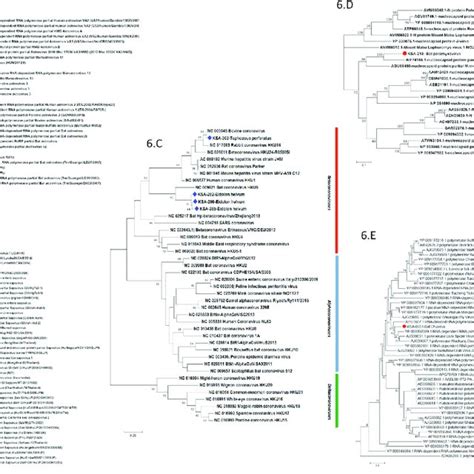 Overview Of Viruses Detected Through High Throughput Sequencing In The