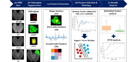Subregion Based Radiomic Analysis For Predicting Glioma Grade A Mri