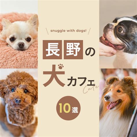 長野の犬と触れ合える場所10選犬カフェなど長野で犬と触れ合える場所ワンコnowa