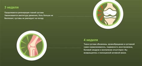 Артокс Развод Цена Отзывы Где Купить Гель в Аптеке