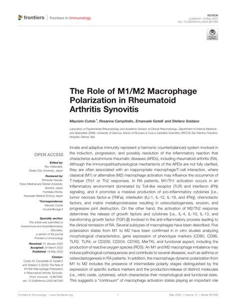 Pdf The Role Of M1m2 Macrophage Polarization In Rheumatoid Arthritis