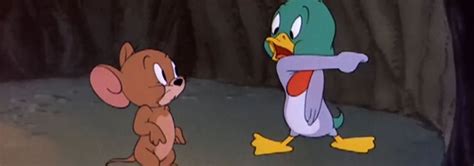 Tom And Jerry The Duck Doctor Court Métrage Danimation 1952