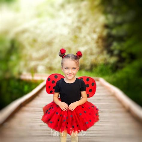 Adult Ladybug Costume