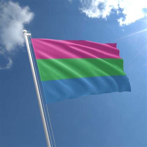 Prideoutlet Flags Polysexual Pride Flag 5ft X 3ft