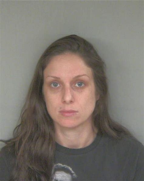 Police 2 Arrested In Mercer County On Meth Charge Wane 15