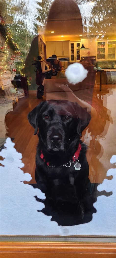 Reflection Removal Rpicrequests