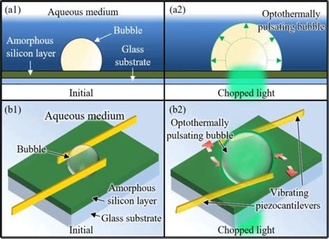 Schematic Diagram Of A An Optothermally Induced Bubble Pulsation Download Scientific