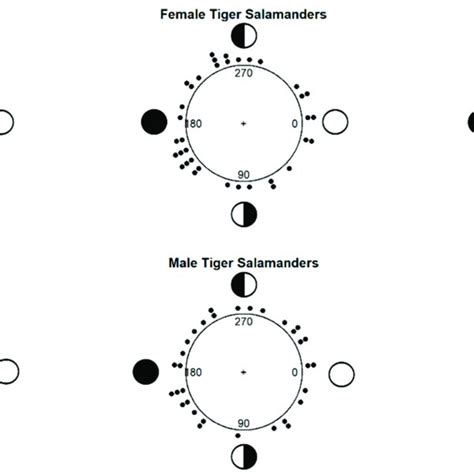 Circle Plot Of Amphibians And Moon Phase In These Figures 0 • Is The Download Scientific