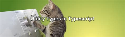 Typescript Type And Interface Difference By Faez Dev Genius