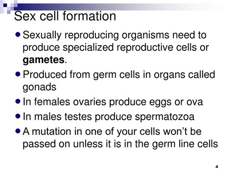 Ppt Meiosis To Mendel Powerpoint Presentation Free Download Id394883