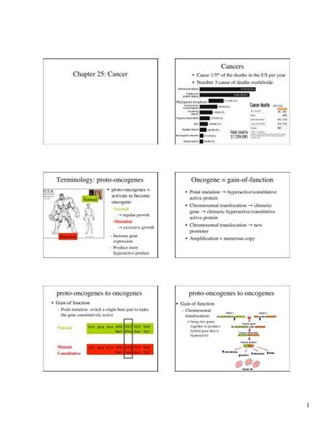 Proto Oncogenes Oncogene Gain Of Function Proto Oncogenes