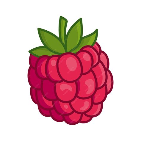 Premium Vector Juicy Raspberry Isolated On A White Background Vector