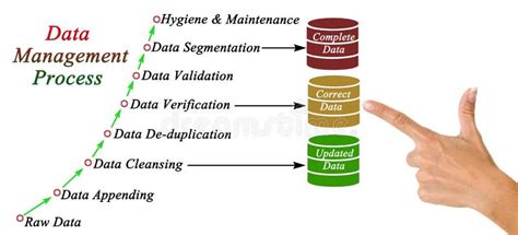 Data Management Process Stock Image Image Of Segmentation 199273685
